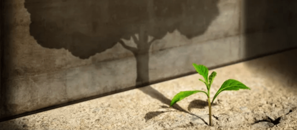 The Impact-Driven Growth Framework – Evolving Leadership